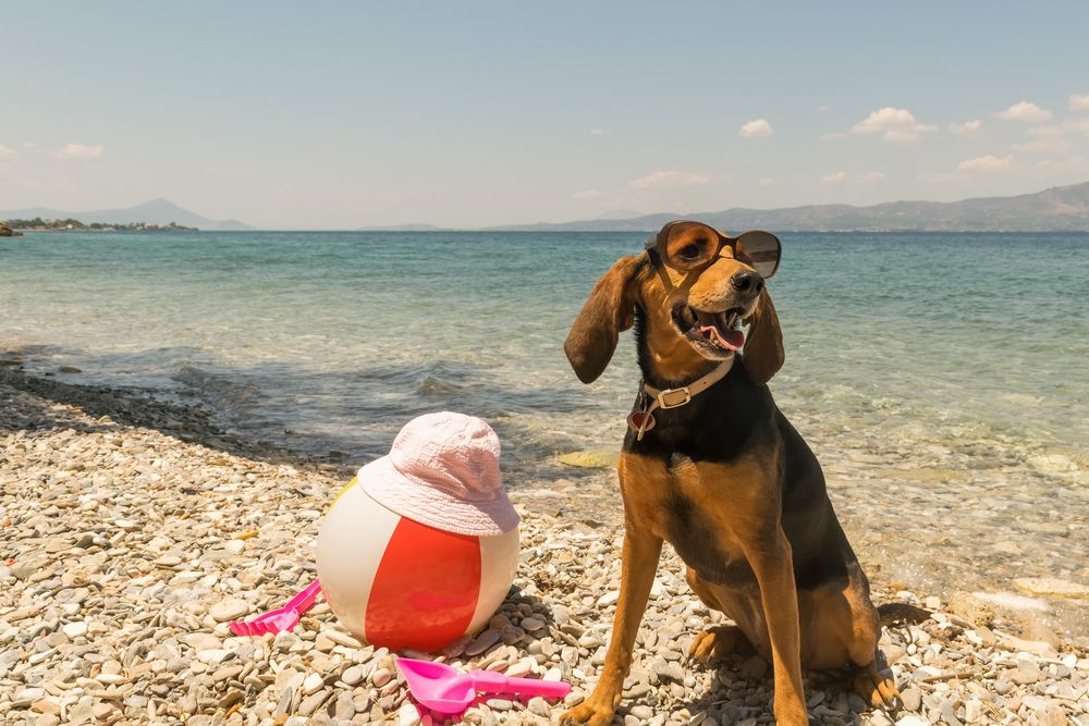12 Reasons Why You Need To Use Those Vacation Days Infographic 12-reasons-why-you-need-to-use-those-vacation-days-infographic